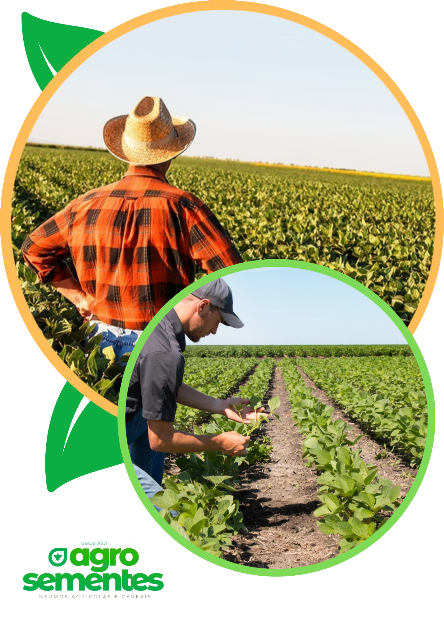 Agrosementes - Isumos Agrícolas e Cereais