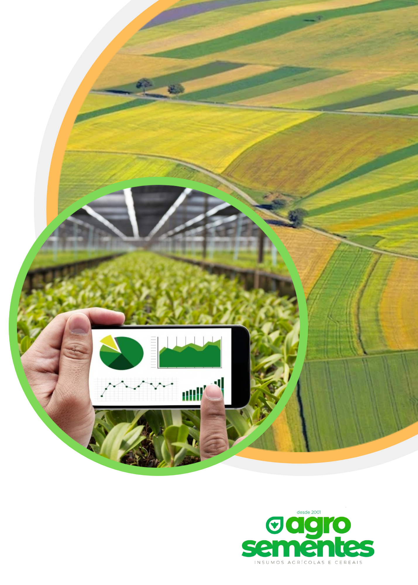 Agrosementes - Isumos Agrícolas e Cereais